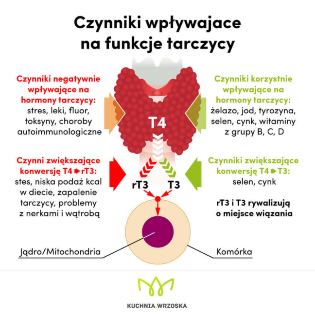 Dieta przy niedoczynności tarczycy | Michal Wrzosek