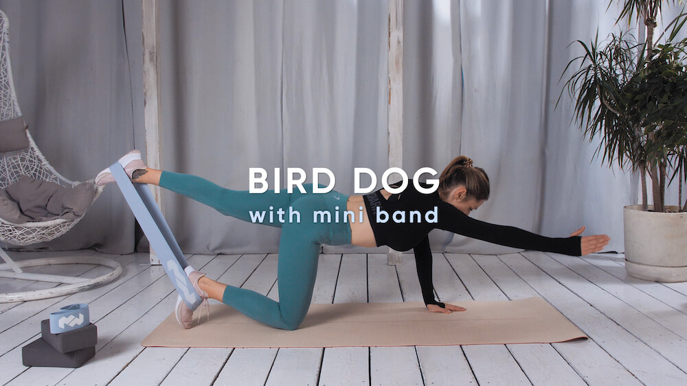 Bird dog with mini band | Atlas ćwiczeń | Centrum Respo