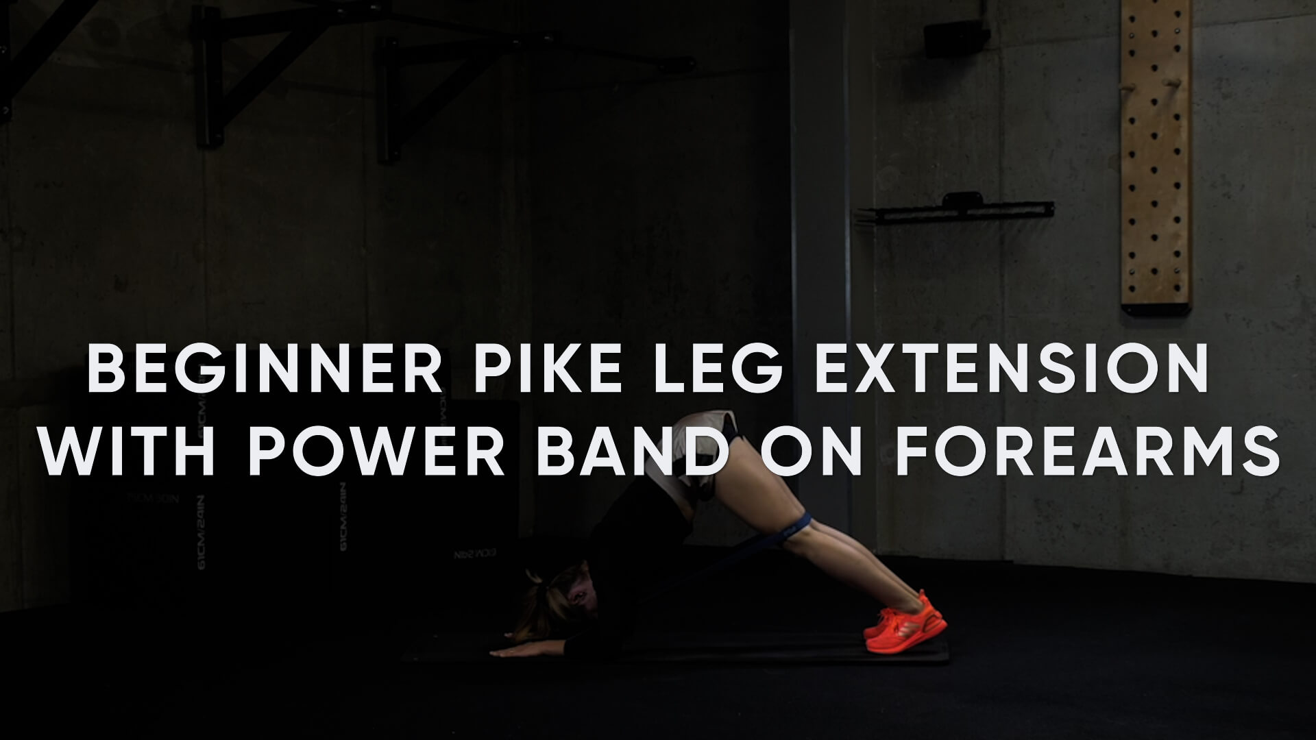Beginner Pike Leg Extension with Power Band on Forearms | Atlas ćwiczeń ...
