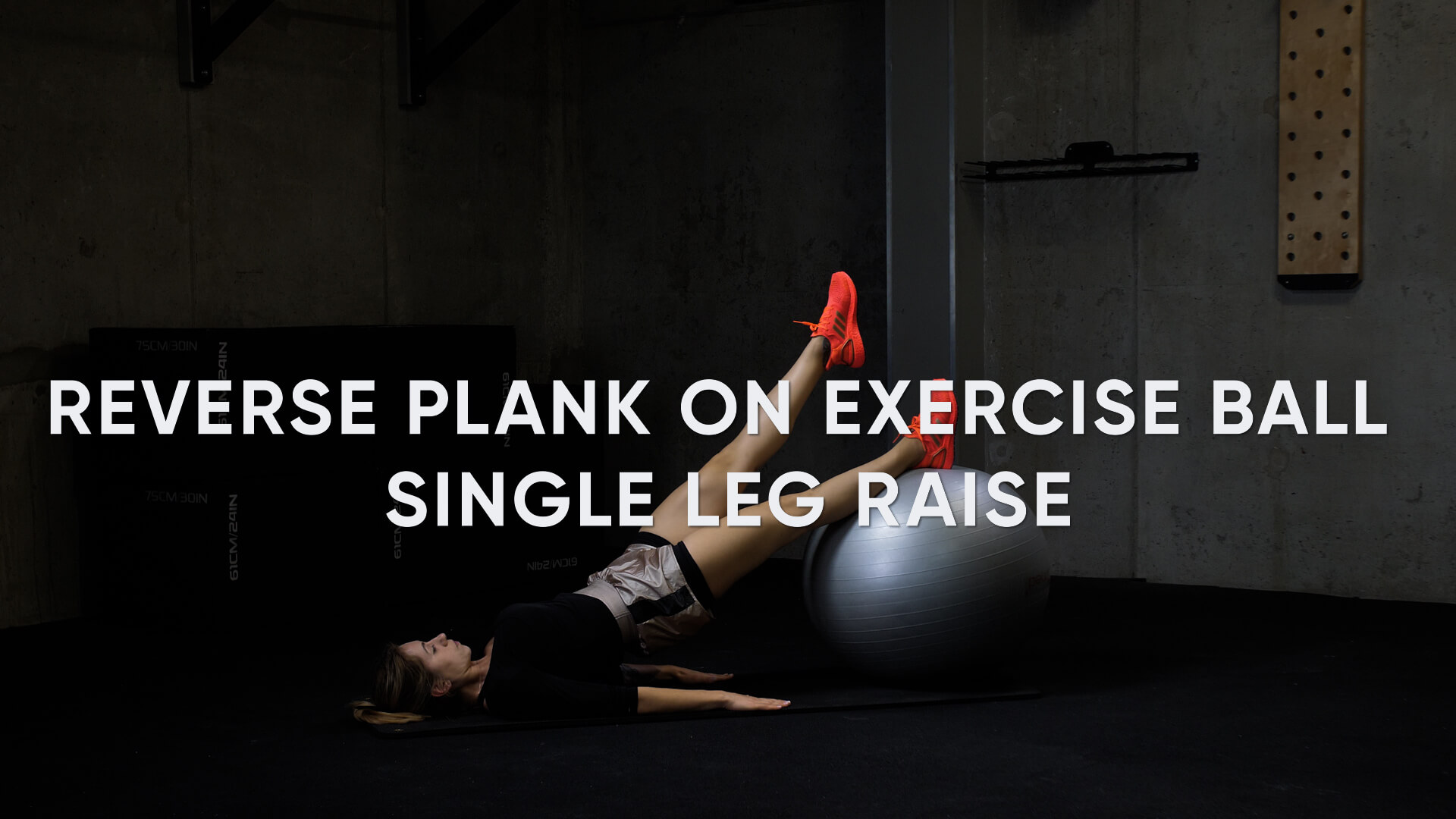 Reverse Plank on Exercise Ball Single Leg Raise | Atlas ćwiczeń ...